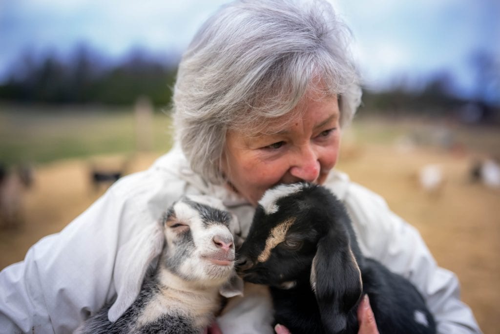 My Approach to Real Estate | Catherine Swift Ottawa REALTOR®